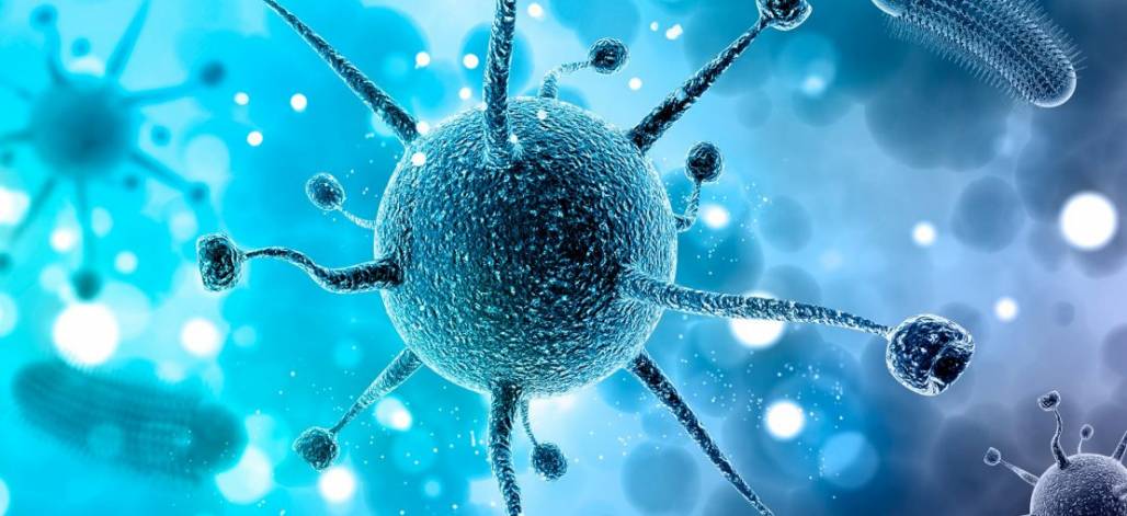 Conheça os mitos e verdades sobre as superbactérias - Talk SCIENCE