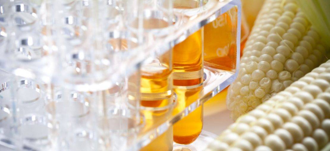 Biocombustível: saiba quais são as promessas para o futuro